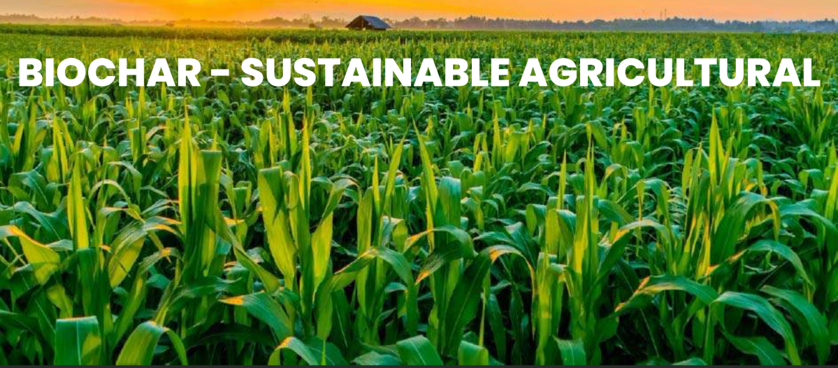 The Benefits of Biochar in Agriculture: A Sustainable Solution for Soil ...